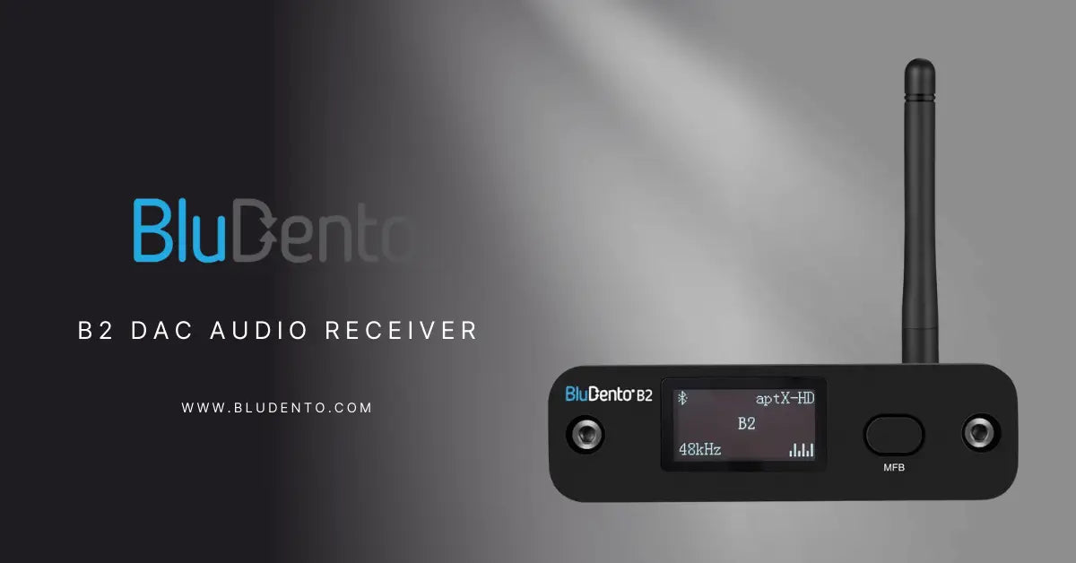 Exterior Receiver Essentials: Boost Your Outdoor Audio – BluDento