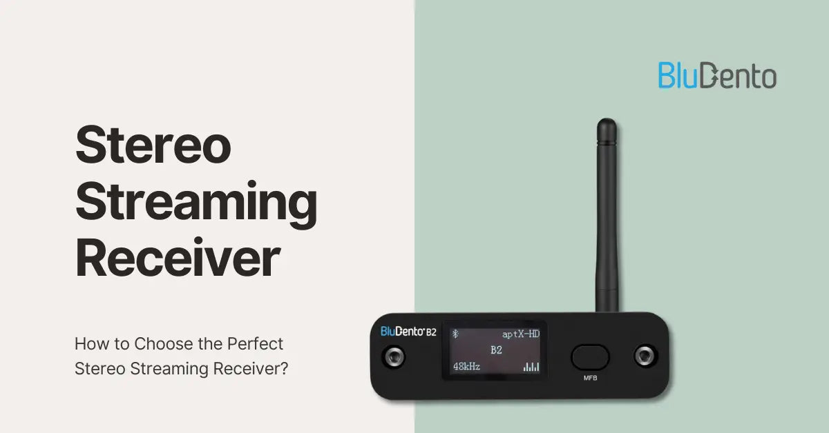 How a Stereo Streaming Receiver Enhances Your Sound System – BluDento